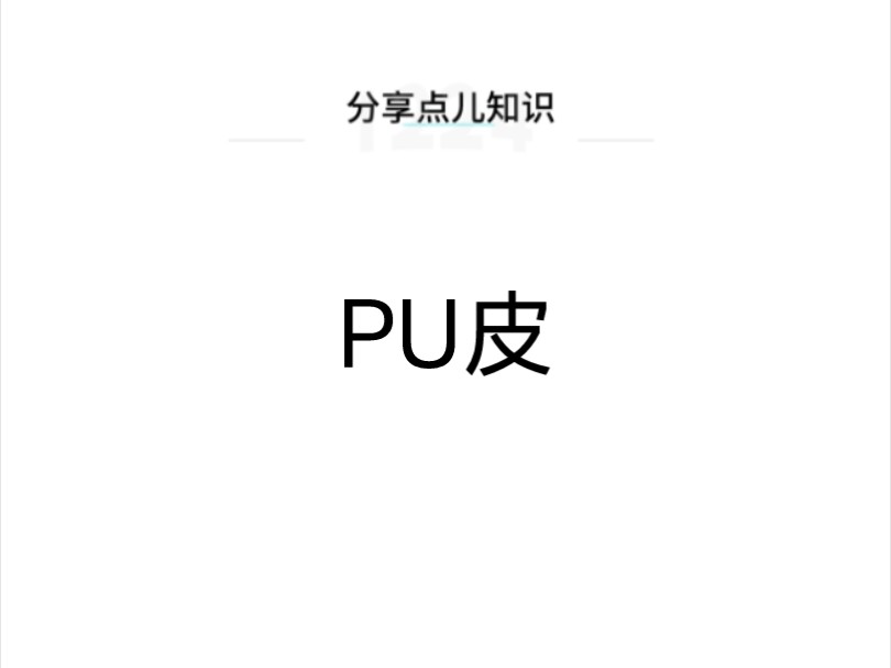 什么是pu皮?