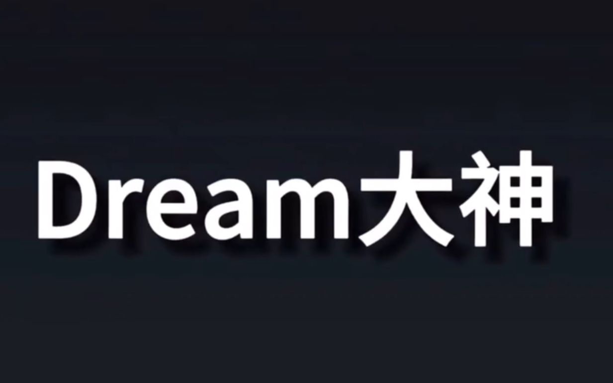 细节下矿——dream_我的世界_技巧