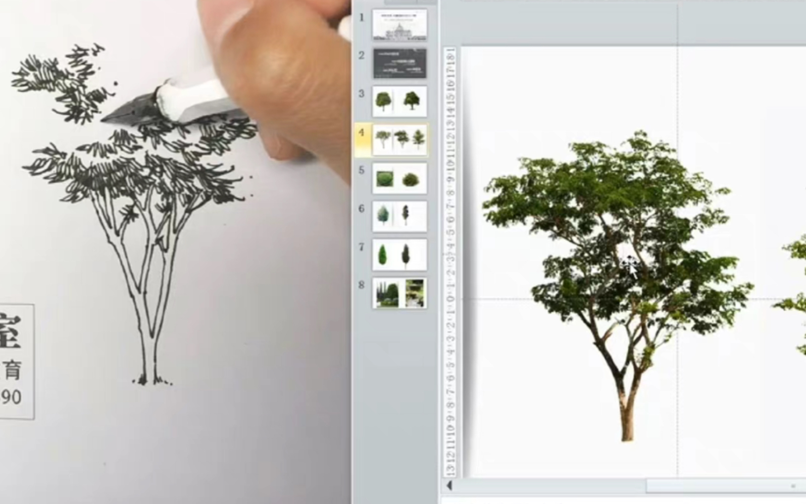 风景园林手绘:植物单体的画法