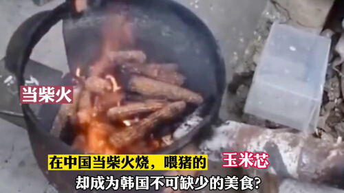 玉米芯在韩国的用途五花八门,你绝对想不到,他们可以用来煲汤