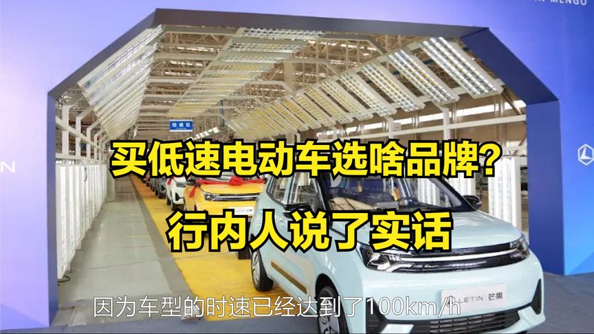 买低速电动车选啥品牌?行内人说了实话:这几个品牌符合国标标准