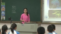 初中生物人教版七年级上册:第二节生物与环境组成生态系统