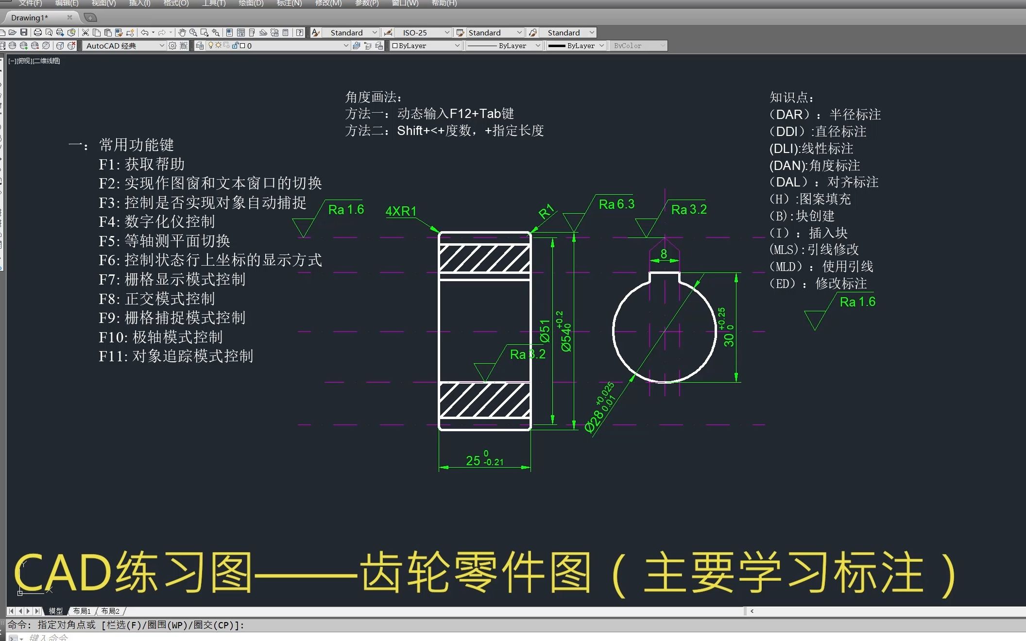 CAD练习图(知识)——齿轮(标注)