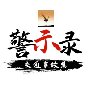 交通事故警示录 