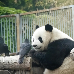 我没改名字啊 