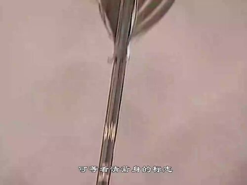 太极宗师震撼首播!一代宗师传奇开篇,武学巅峰之战一触即发