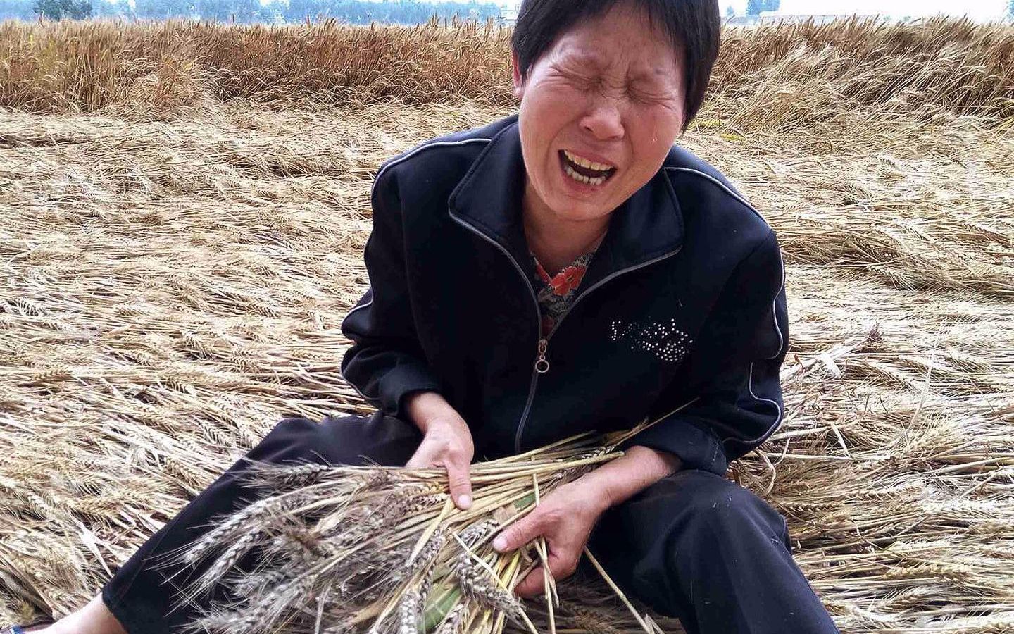 花12万元补缴15年社保,办退休时却傻了眼!违规领不了!