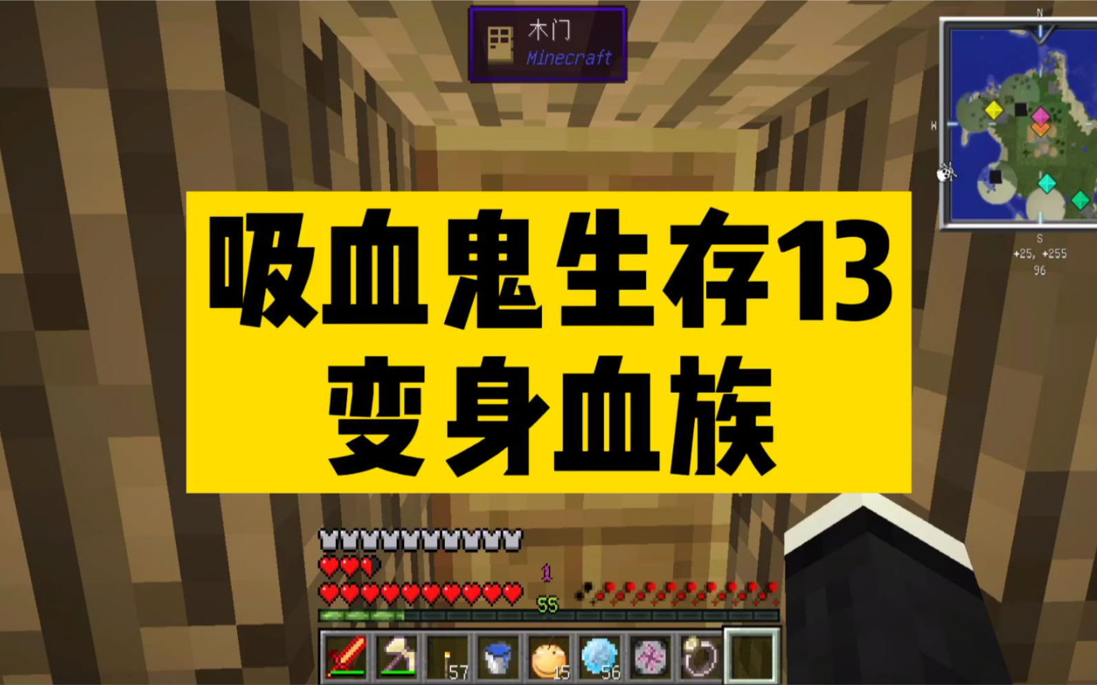 叶枫我的世界吸血鬼生存13