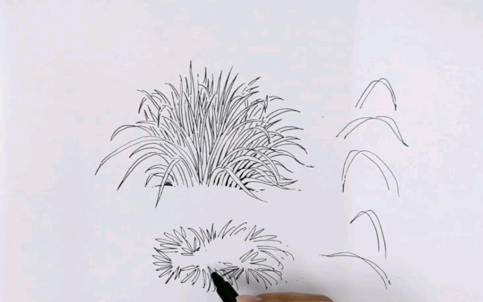 风景园林设计手绘“草”画法视频教程(合一设计教育)