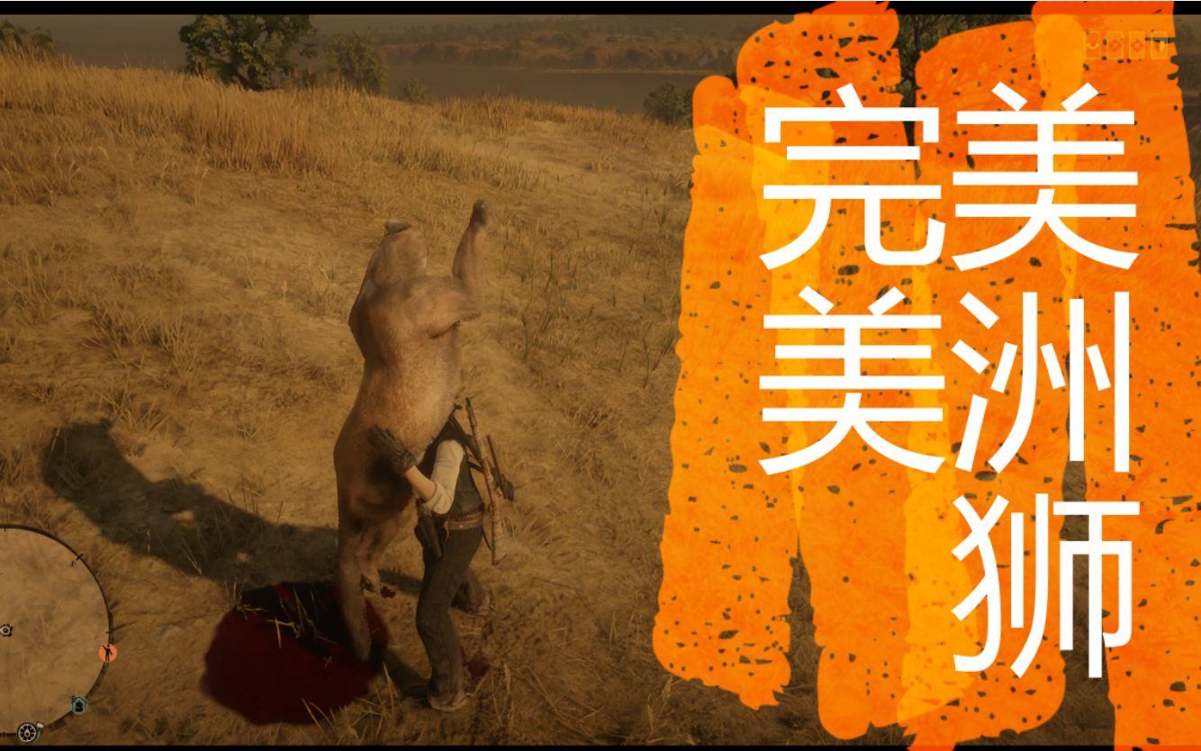 【荒野大镖客2】如何在线上三分钟获得一只完美 美洲狮