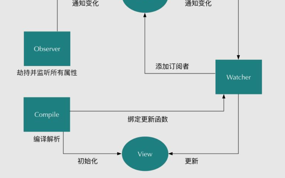 【小鹿线】vue数据双向绑定原理