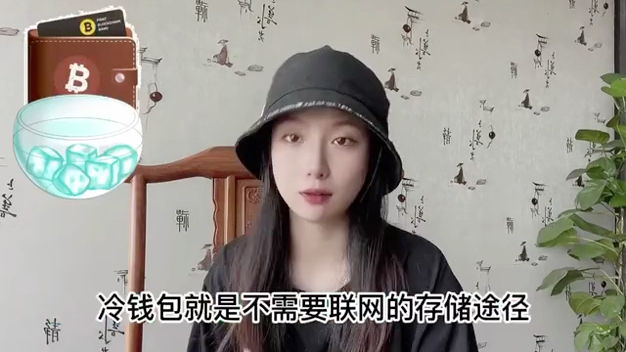 冷钱包下载于使用方式
