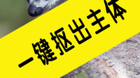 用ps一键抠出小动物的主体,你学会了吗,快打开PS试一试吧