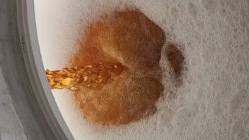 工业反渗透膜化学清洗之碱洗