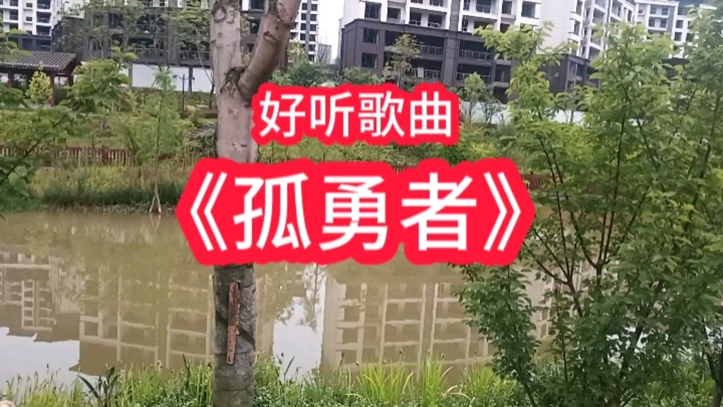 好听歌曲《孤勇者》