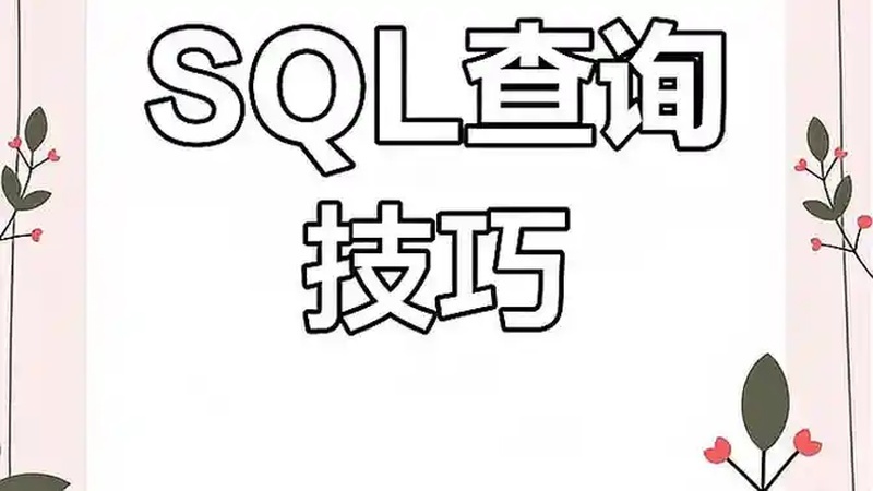 掌握SQL查询,轻松筛选 cat数据