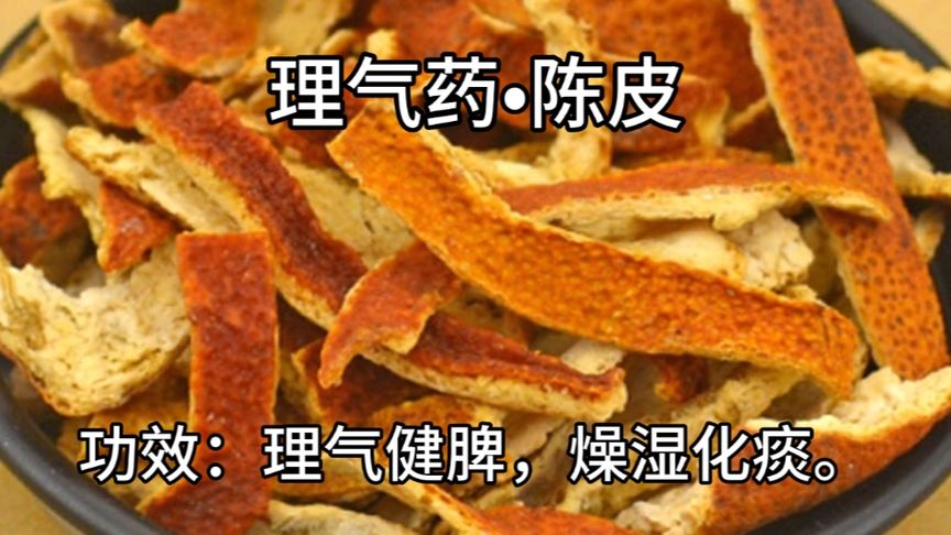 介绍理气药•陈皮,功效:理气健脾,燥湿化痰,为治痰之要药。