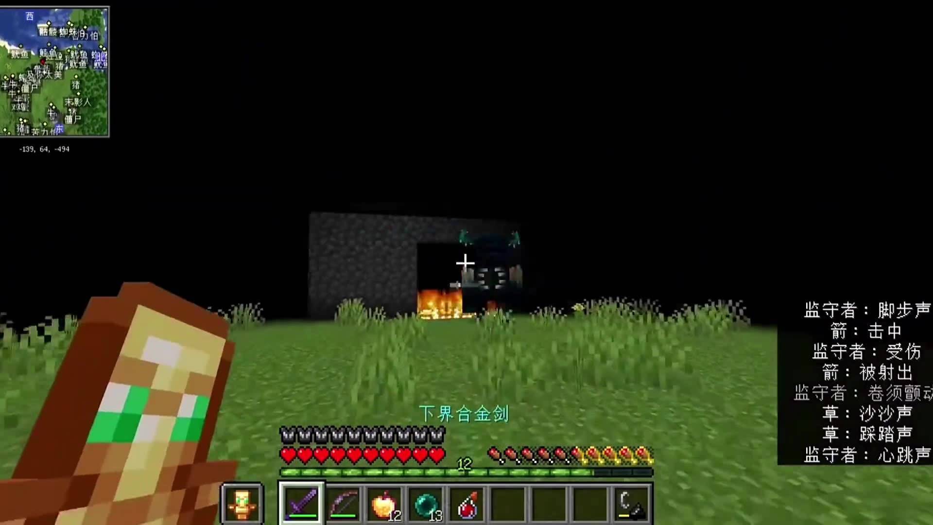 我的世界丨挑战循声守卫