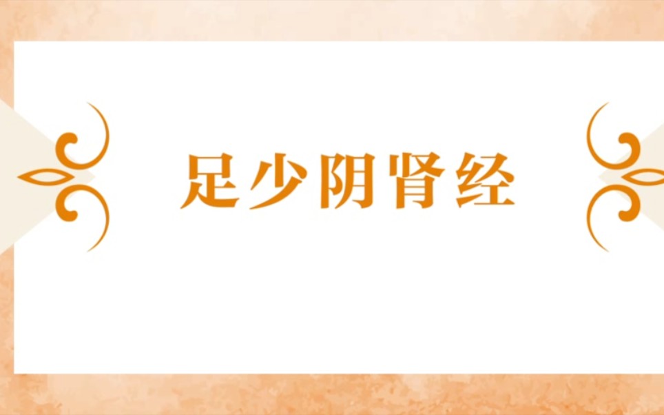 穴位视频-足少阴肾经3