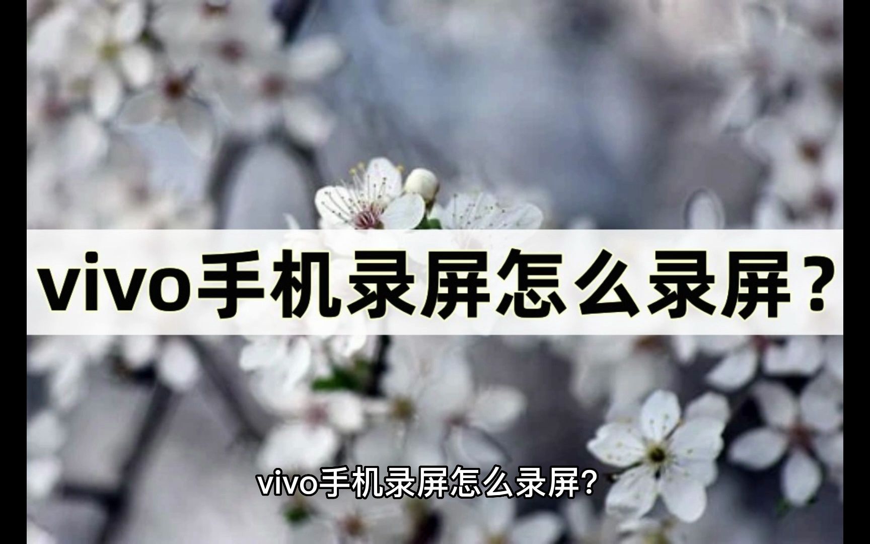 vivo手机录屏怎么录屏?介绍几款录屏软件