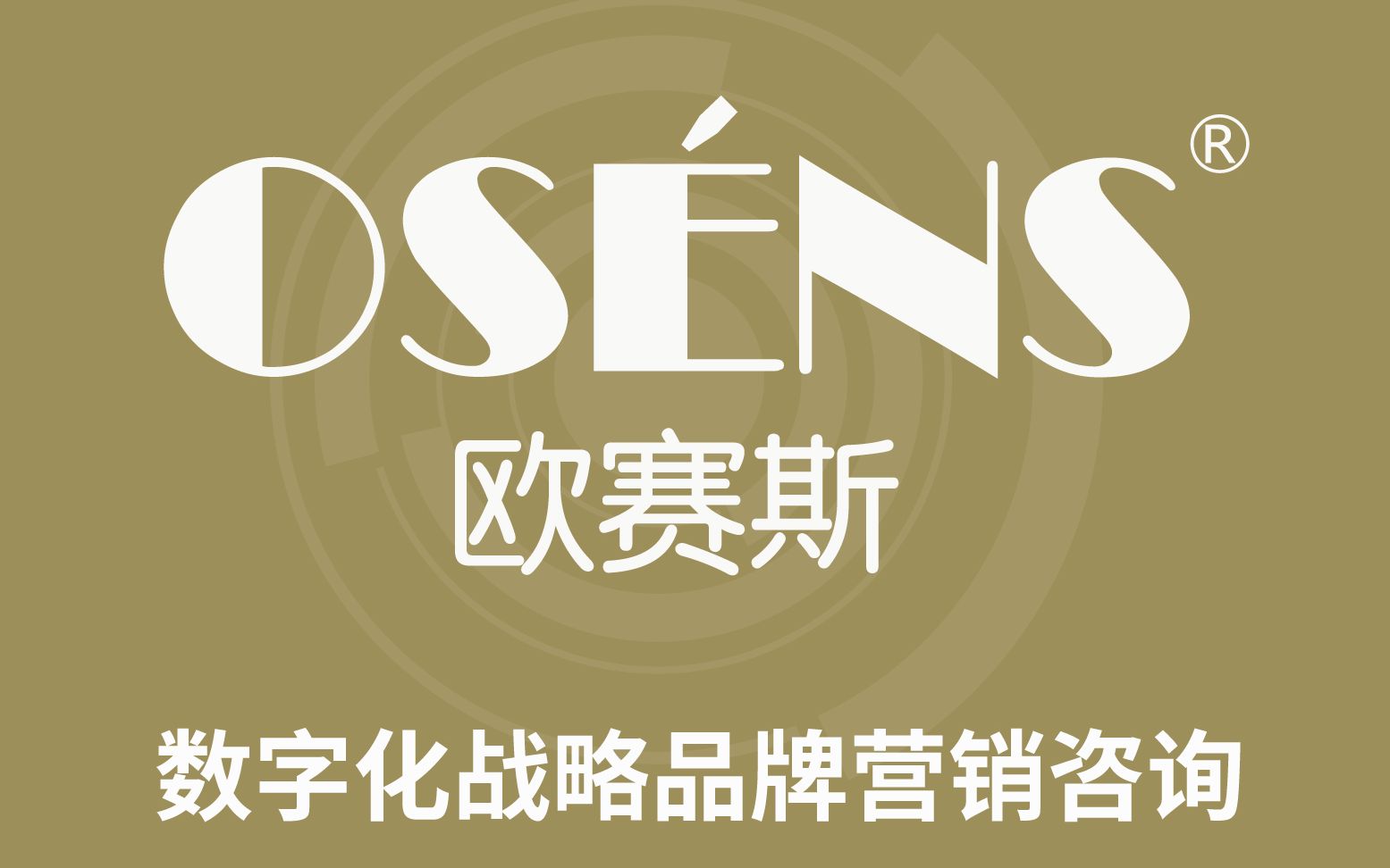 欧赛斯品牌全案服务的5大业务进程