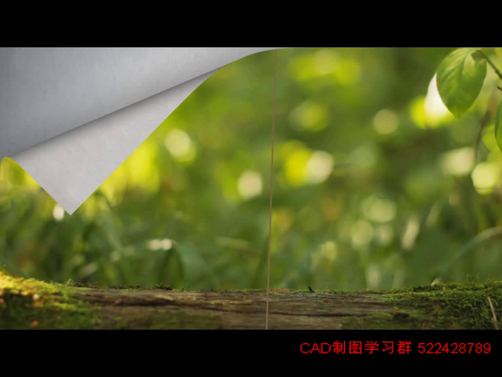 CAD教程:利用相对坐标和极坐标绘图圆心两点半径画圆定数等分cad...