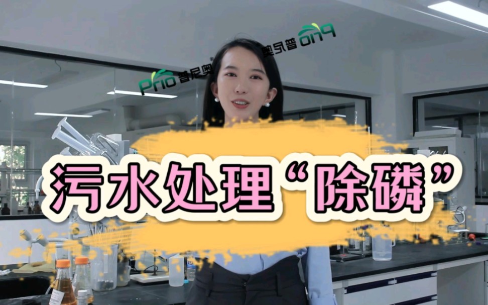 ...厂家,山东普尼奥水处理科技有限公司#水处理药剂 #废水处理 #除磷剂