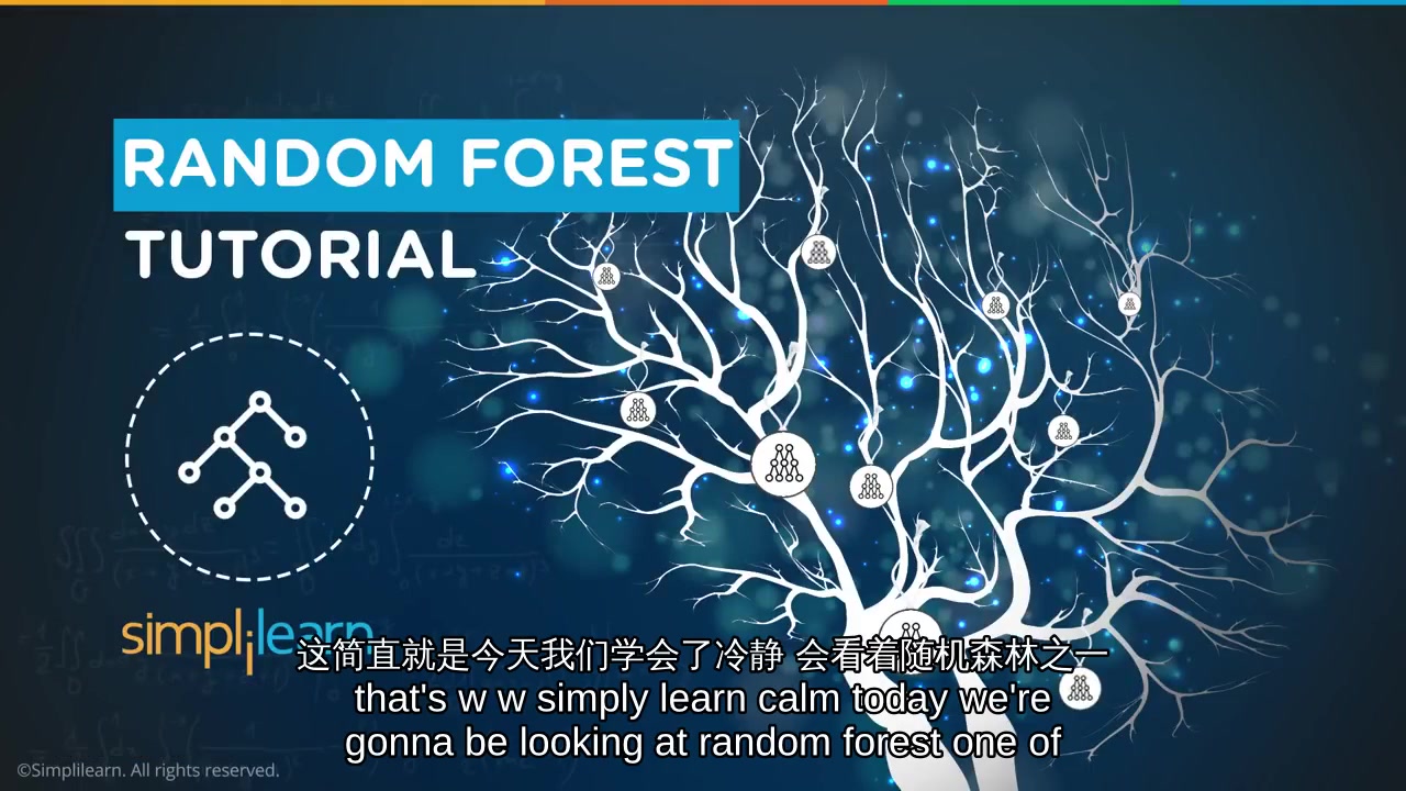 随机森林算法 - 随机森林解释|随机森林机器学习| Simplilearn(中英字幕)