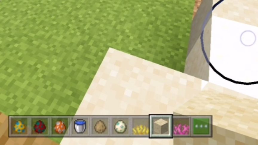 我的世界:海洋生物群系