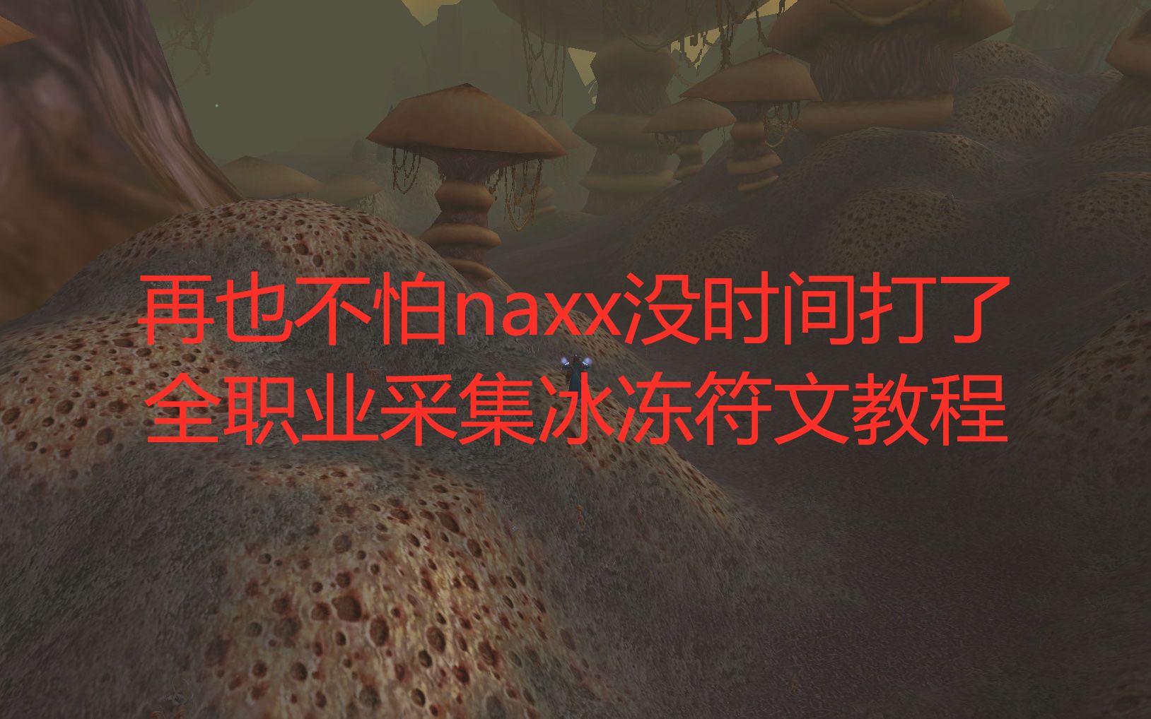 魔兽世界怀旧服再也不怕naxx没时间打了,全职业采集冰冻符文教程