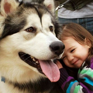 阿拉思佳今天睡醒了吗 