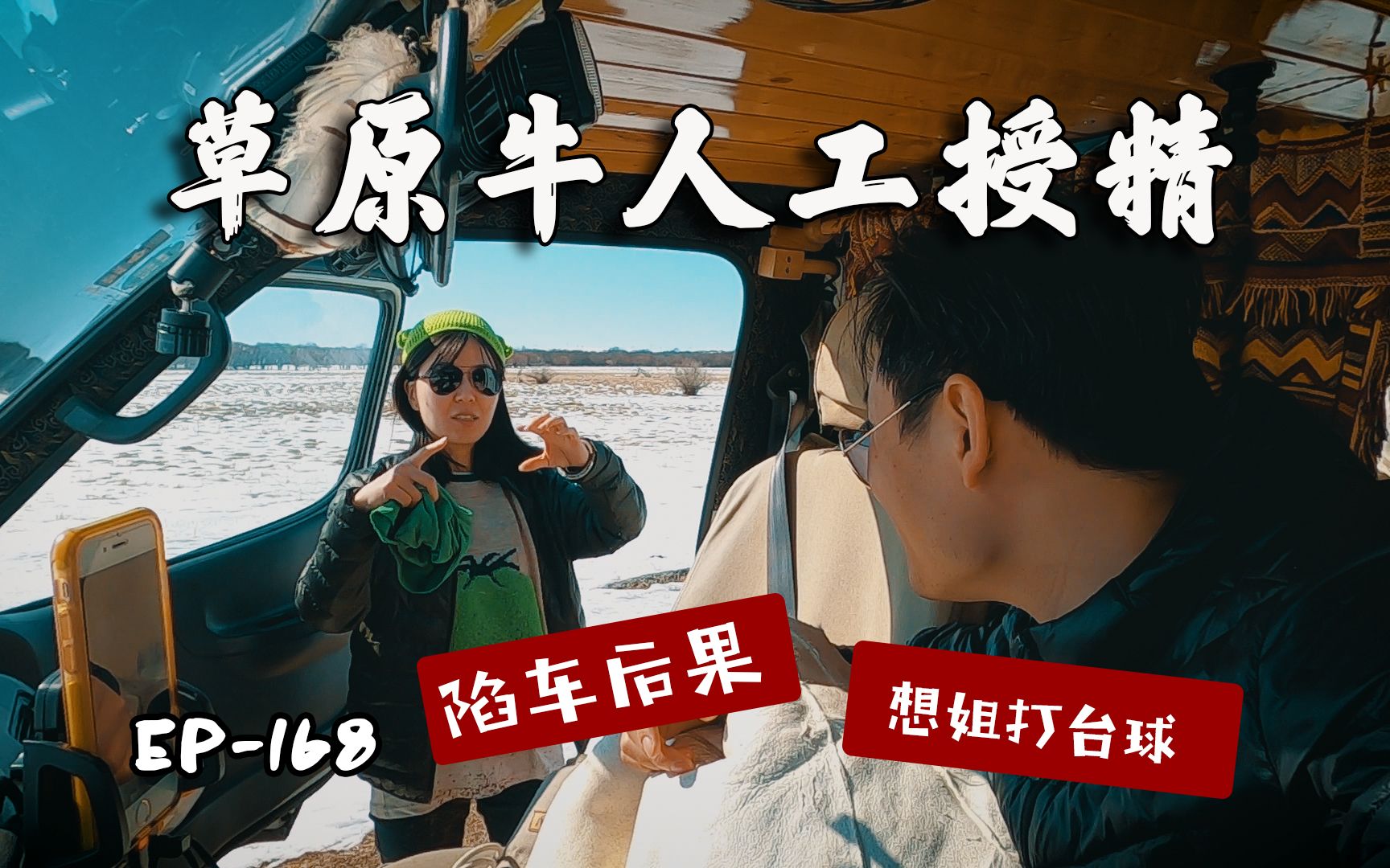 和想姐了解看母牛人工授精,陷车后的惨状,想姐还有个神秘技能