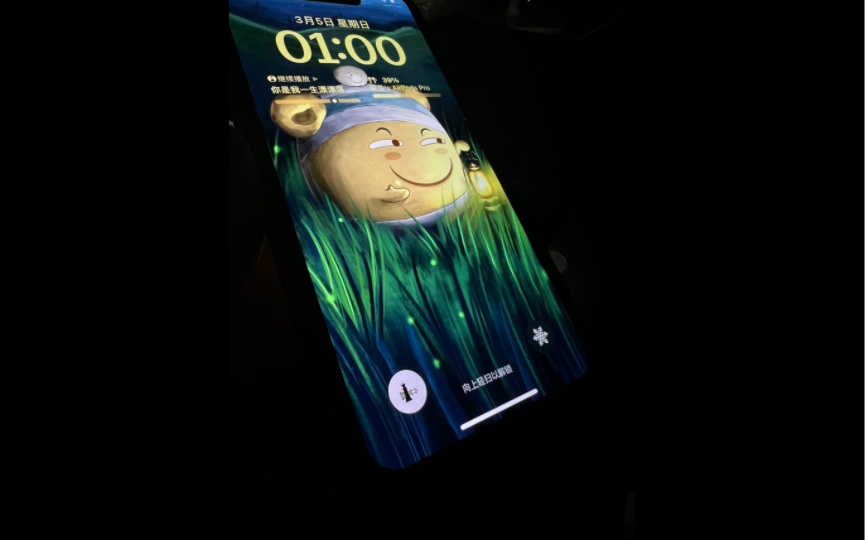 苹果手机免越狱修改锁屏手电筒相机图标,iPhone14演示