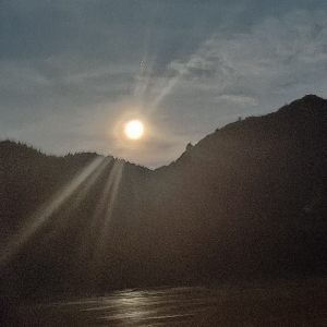 朗月终不似骄阳 