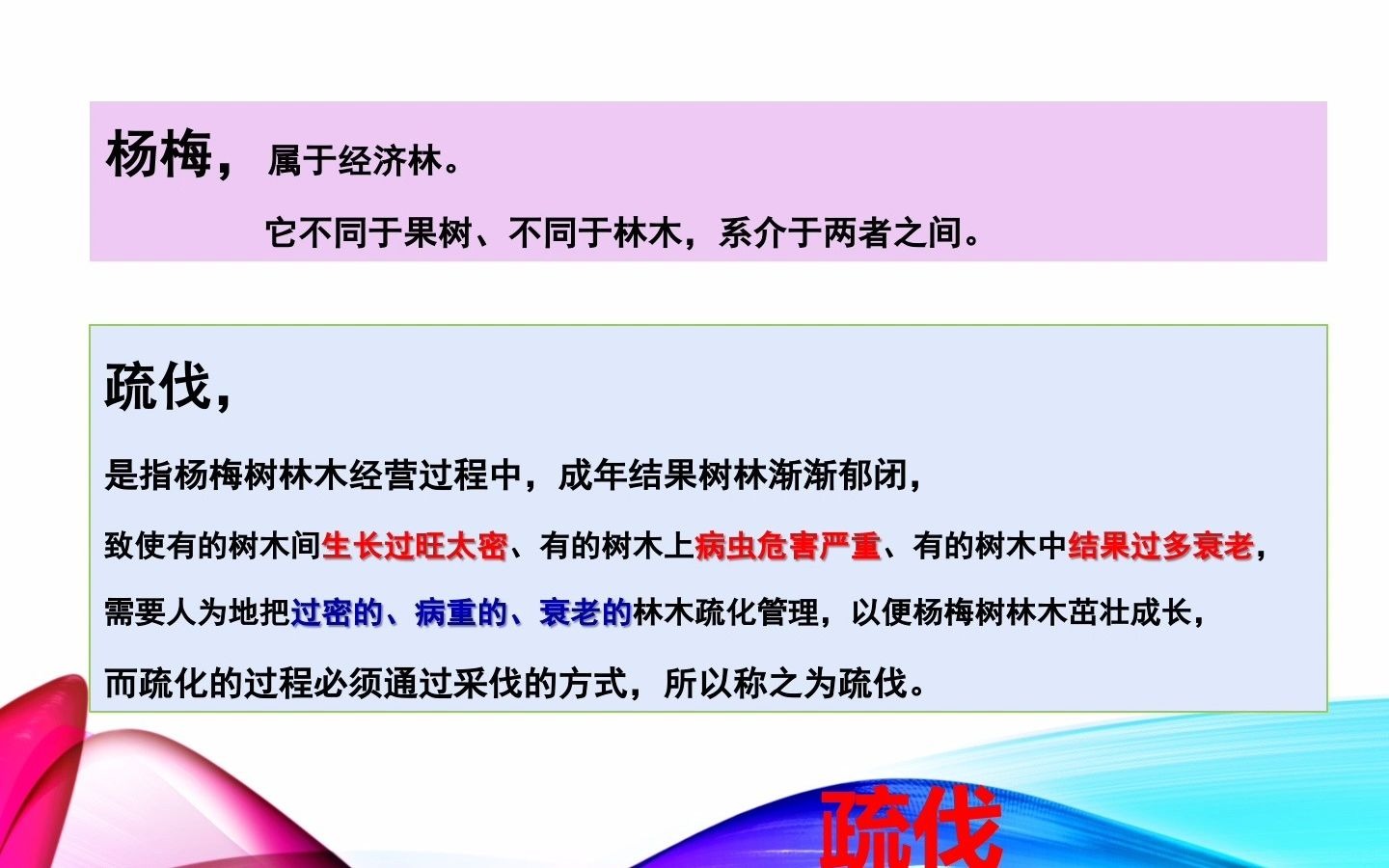 杨梅“三疏一改”提质增效技术