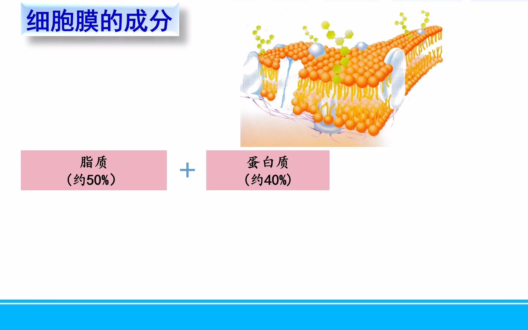高中生物一轮复习微课2.7.9细胞膜的成分-173
