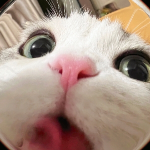 耳边轻语上勾拳_ 