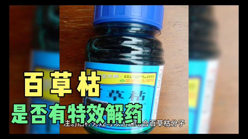 百草枯之殇——百草枯中毒为什么无药能救?其实百草枯有解药!