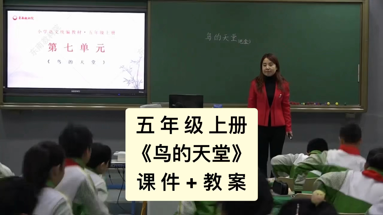 ...小学语文公开课《鸟的天堂》(课件+教案),小学语文优质课,课堂实录。