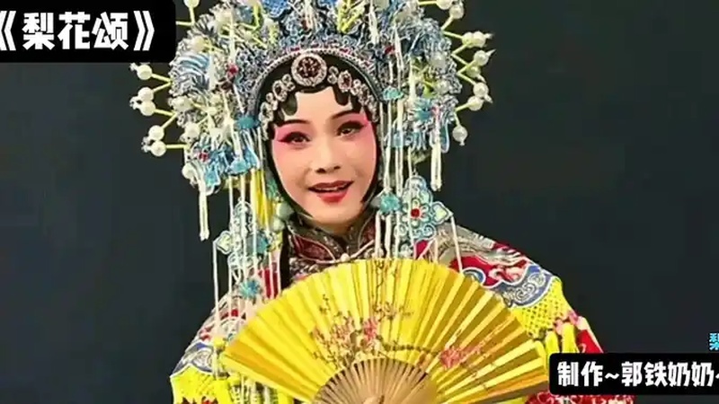 京剧《梨花颂》选段,艺术家的表演,让人陶醉其中,分享戏曲艺术