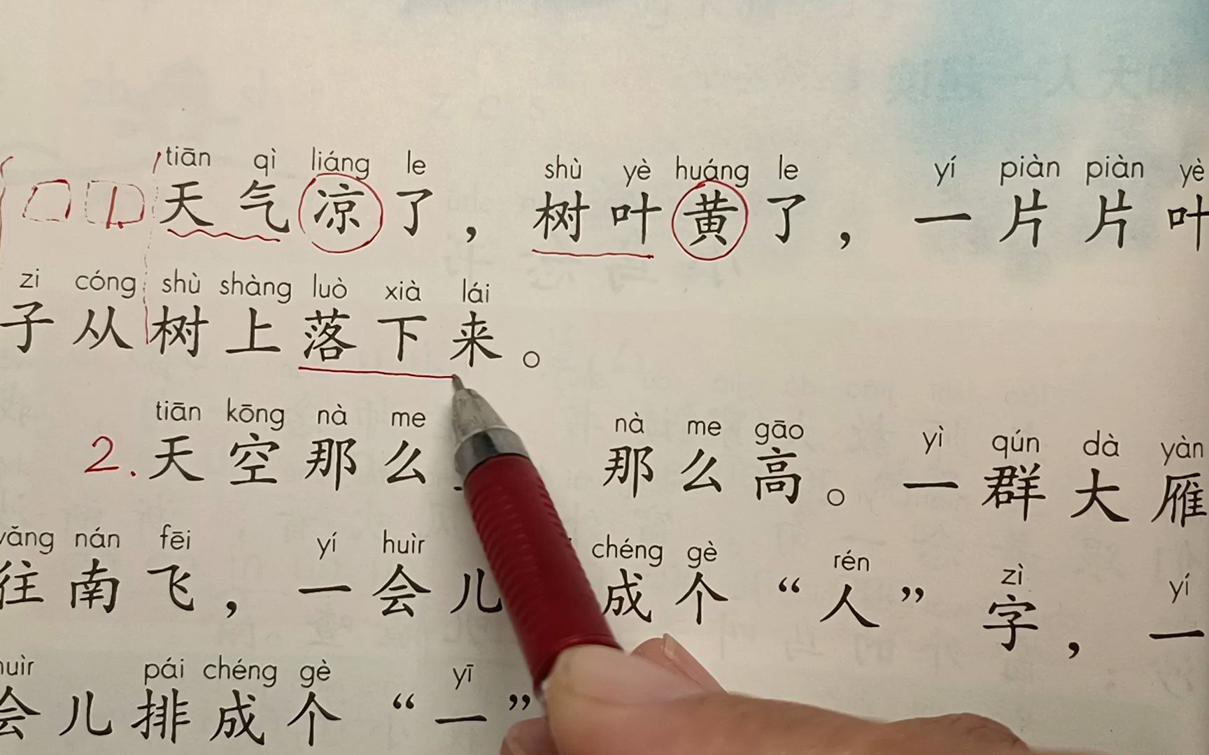 一年级语文上册:1《秋天》课文详细讲解,认识自然段,理解课文内容