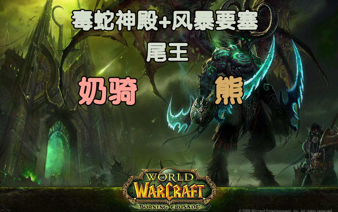 魔兽世界怀旧服TBC毒蛇神殿风暴要塞尾王各职业直播录像(奶骑+熊)