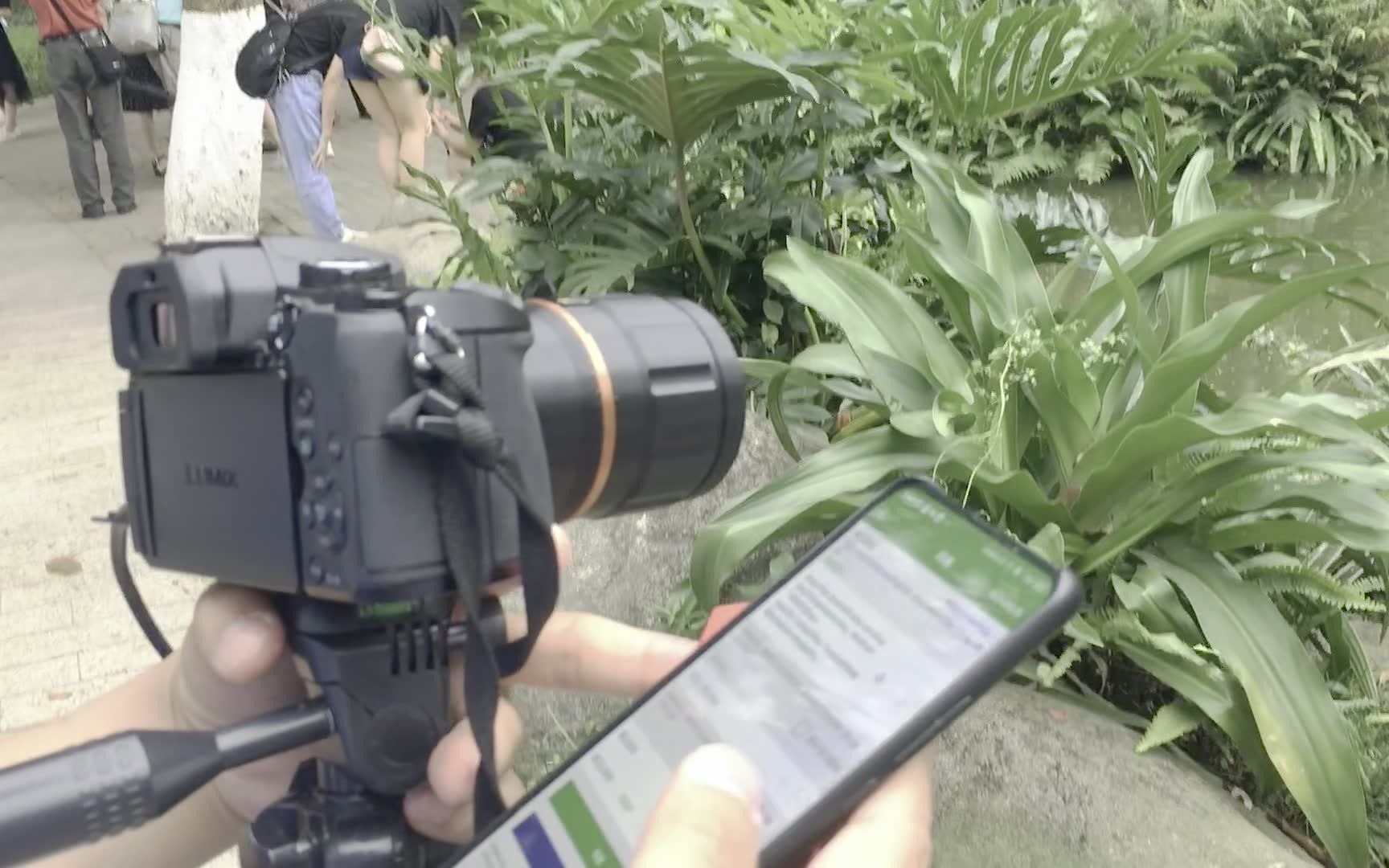 pr剪辑软件SDR转HDR视频测试