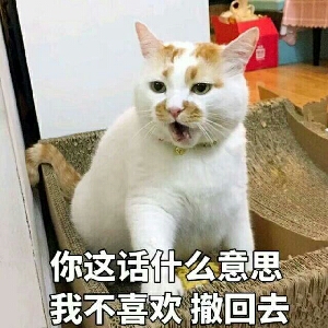 故乡的不问招魂幡 