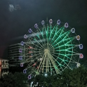 妮子的青梅竹马 