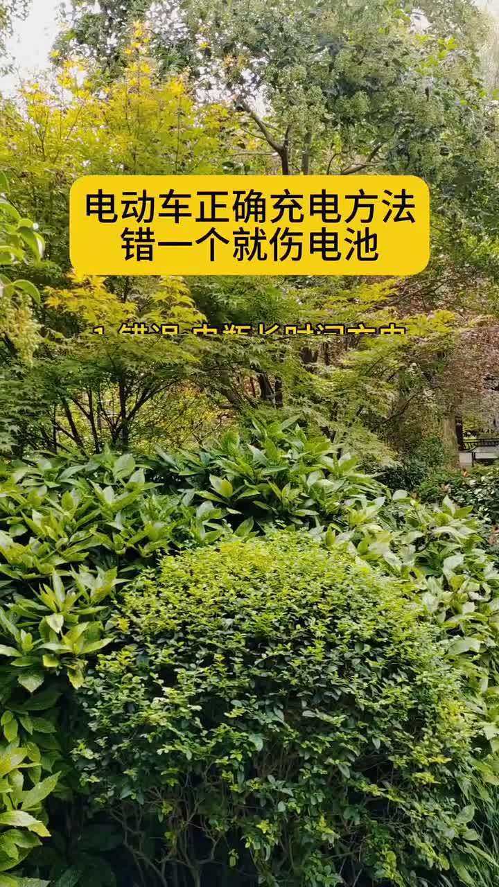 电动车正确充电方法错一个就伤电池