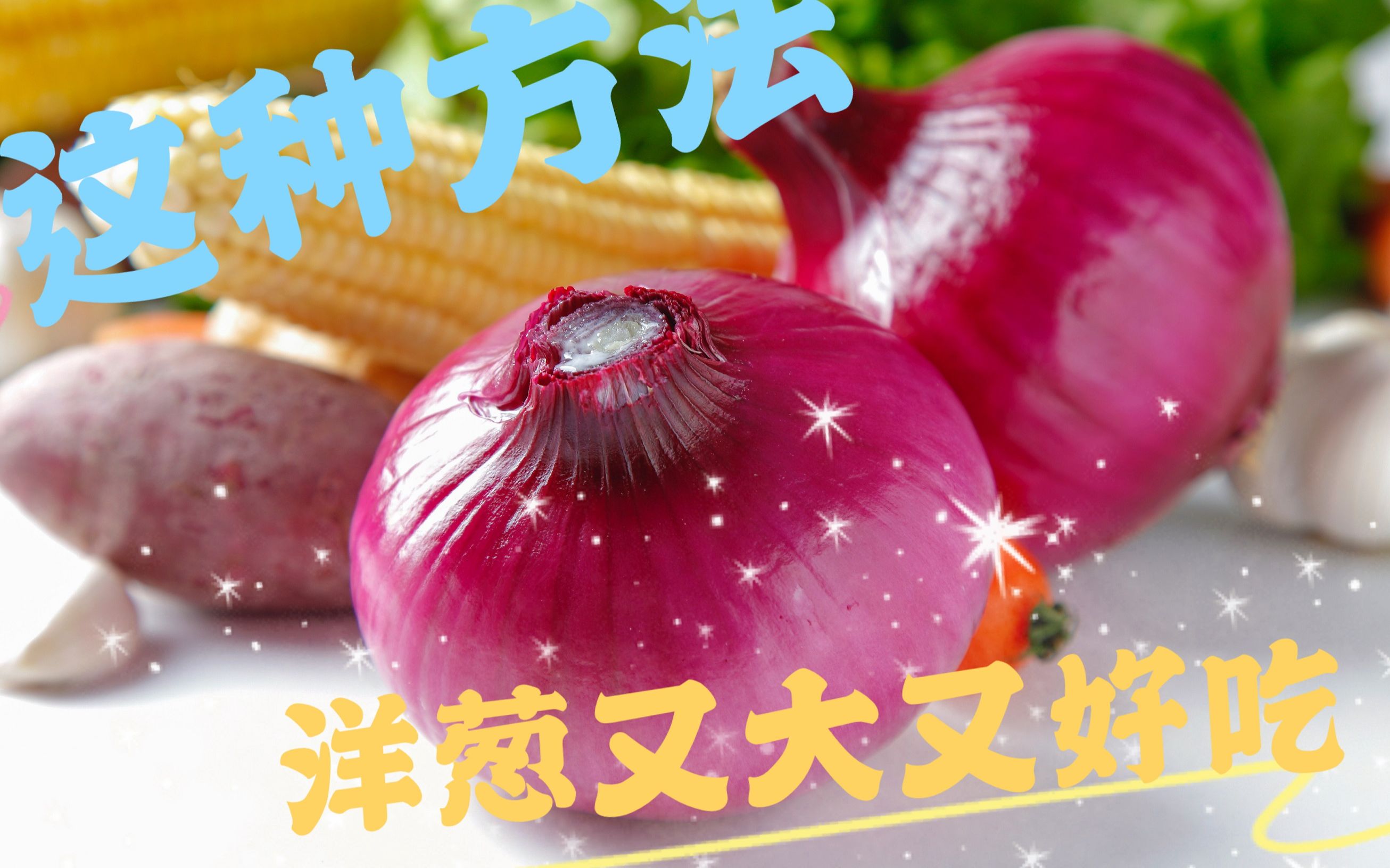 懒人种植法&最简单方法种洋葱/几乎百分百成活率。The best way to ...