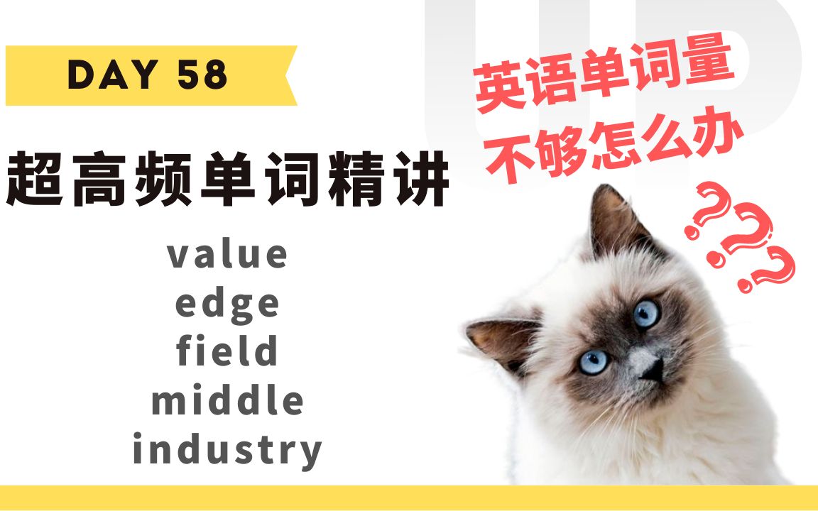 英语单词精讲Day 58 – value, edge, field, middle, industry