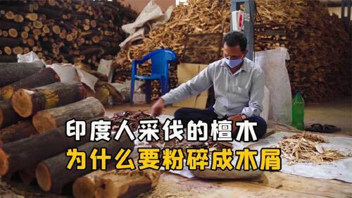 印度人为什么要把檀木粉碎?檀木粉碎以后,能起到什么作用?
