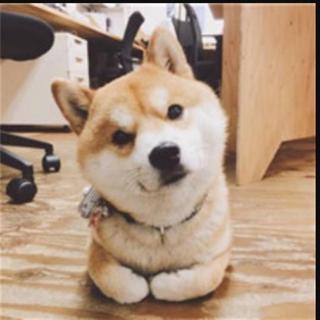 记忆溯源记